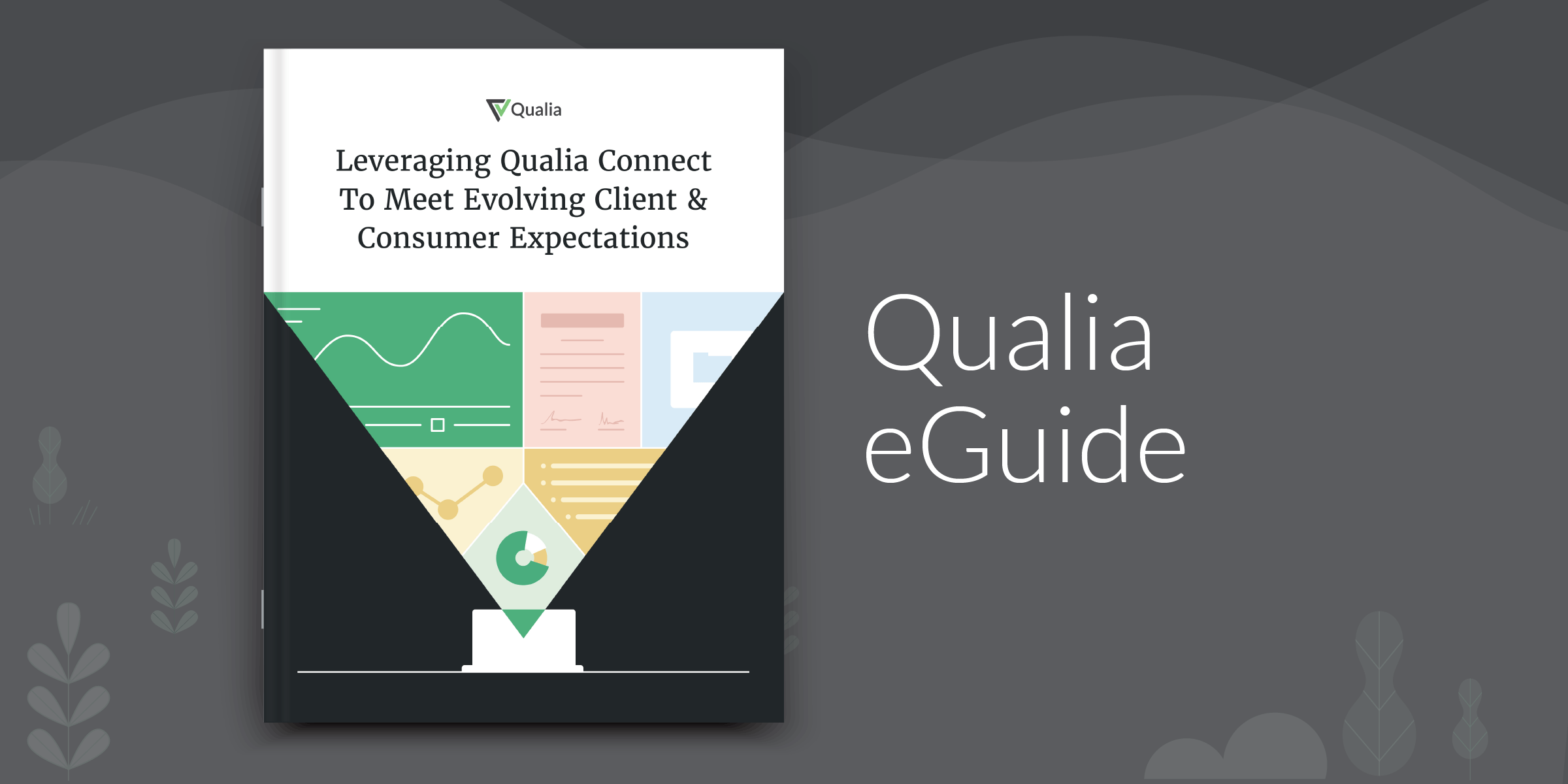 Guides Archives - Qualia Insight